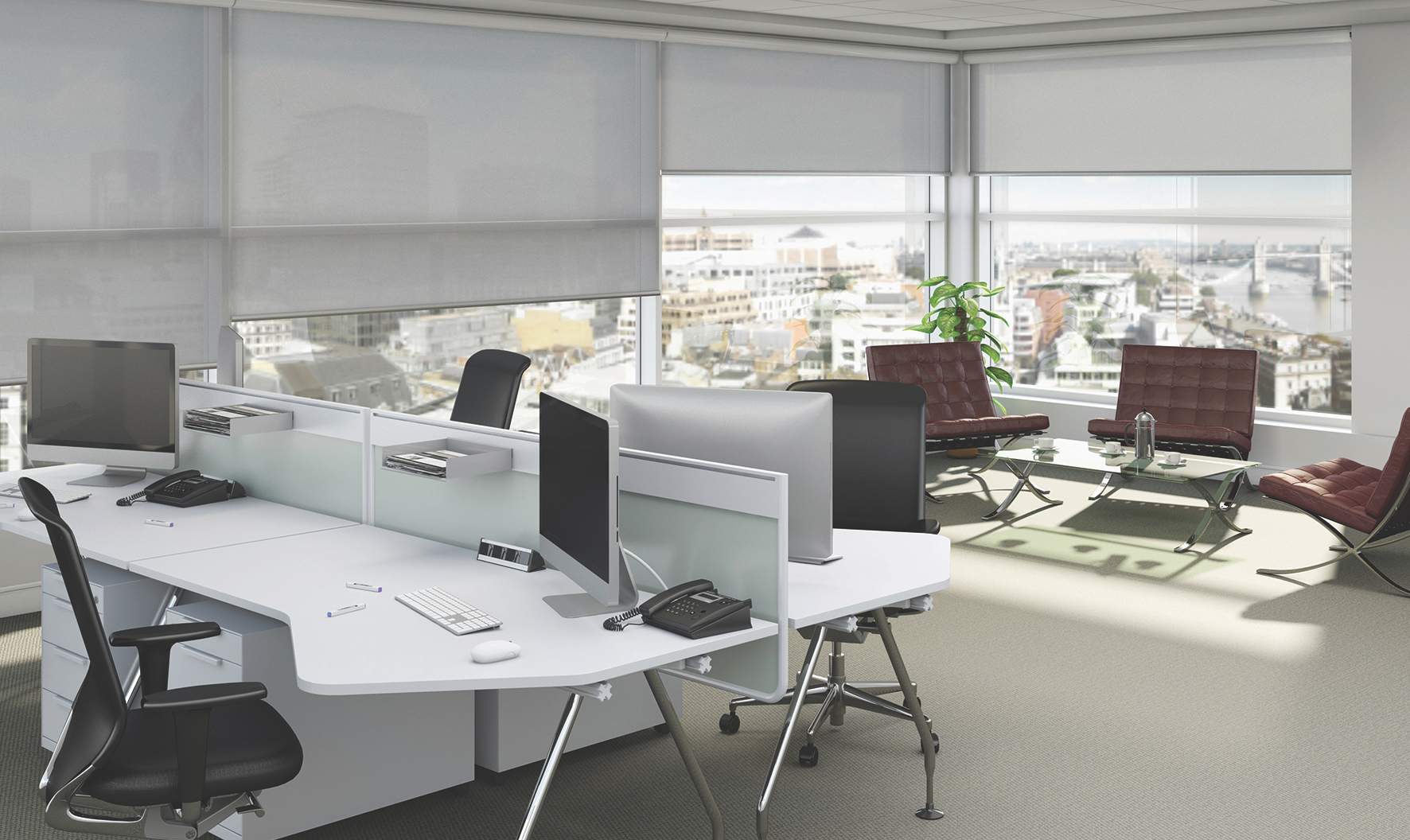 The Ultimate Guide to Office Blinds