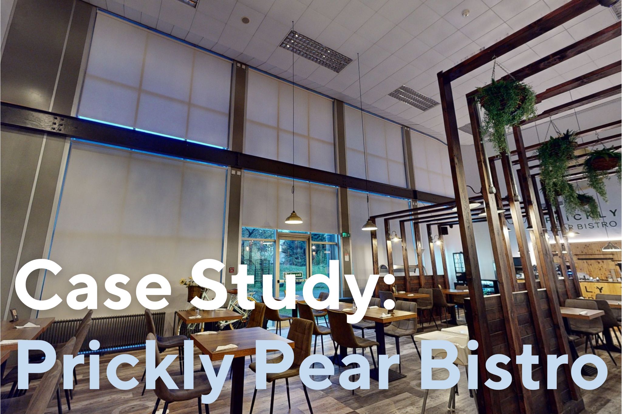 A1 Blinds Case Study: Prickly Pear Bistro Solution
